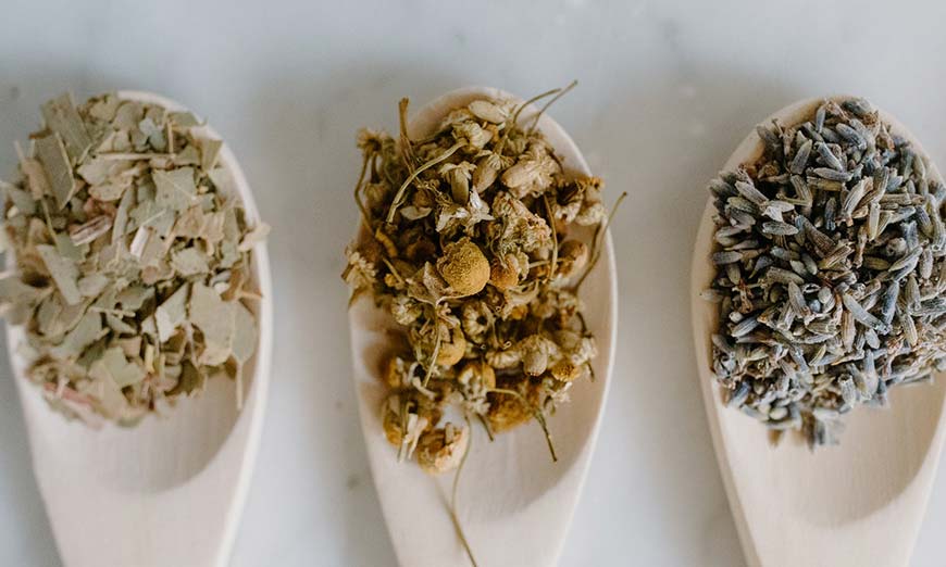 Medicina Natural: cómo usarla en tu día a día - Escuela Terapias Bienestar